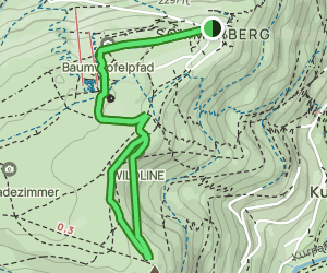 Wildline Suspension Bridge: 45 Reviews, Map - Baden-Württemberg ...
