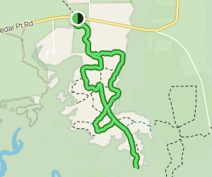 Cedar Point Preserve Main Trail and Spur Trails: 205 fotos - Florida ...