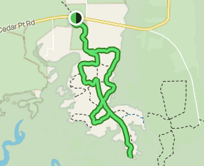 Cedar Point Preserve Main Trail and Spur Trails: 75 Reviews, Map ...