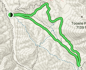 Bear Trap Pass, Utah - 64 Reviews, Map | AllTrails