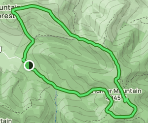 Hunter, Leavitt and Rusk Bushwhack Loop: 169 Reviews, Map - New York ...