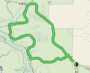 Turtle Ponds West and River Crossing Trail: 46 fotos - Míchigan | AllTrails