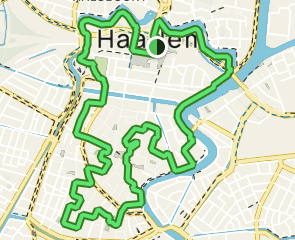 Groene Wissel: Steegjes, Hofjes, het Spaarne en de Bavo 468: 25 Reviews ...