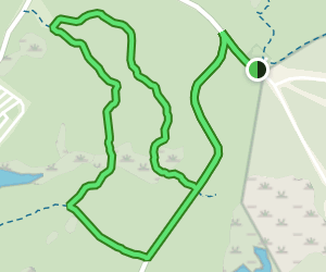 Hammerman Red, White, and Orange Trail Loop: 9 Reviews, Map - Maryland ...