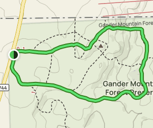 Gander Mountain Loop Trail: 420 Reviews, Map - Illinois | AllTrails