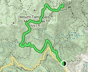 Mount Tamalpais via Matt Davis and Railroad Grade Trails: 385 Reviews ...