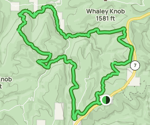 Moccasin Gap Trail System: 15 Reviews, Map - Arkansas | AllTrails