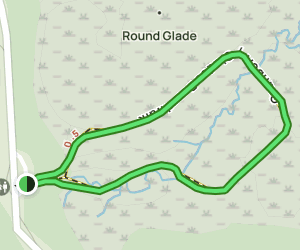 Cranberry Bog Boardwalk: 148 Reviews, Map - West Virginia | AllTrails