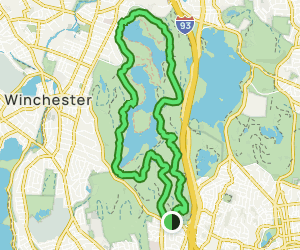 Middlesex Fells Reservation Loop Trail: 408 Reviews, Map ...
