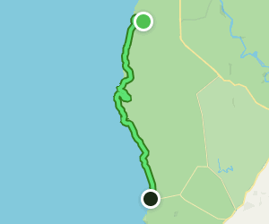 Rota Vicentina: Almograve - Zamujeira do Mar via Fishermen's Trail: 486 ...