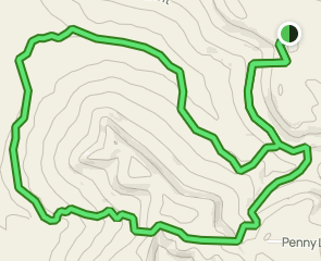 Hawk Pride Mountain Offroad, Alabama - 12 Reviews, Map | AllTrails