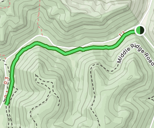 Davis Creek Trail: 182 Reviews, Map - West Virginia | AllTrails