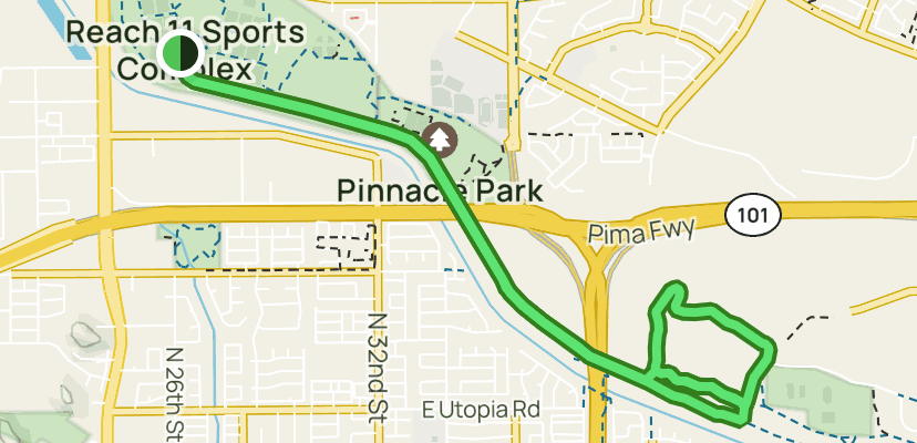 Are Dogs Allowed At Reach 11 Sports Complex