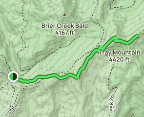 Indian Gap to Tray Mountain via Appalachian Trail, Georgia - 253 ...