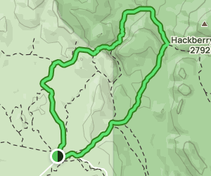 Hackberry Springs Loop: 1356 Reviews, Map - Arizona | AllTrails