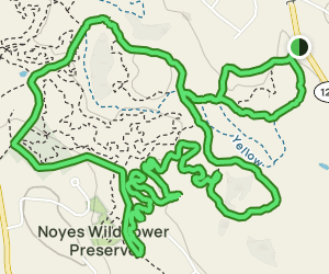 Plaistow and Atkinson Loop: 58 Reviews, Map - New Hampshire | AllTrails