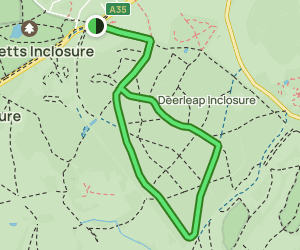 Ashurst and Deerleap Enclosure Circular: 342 Reviews, Map - Hampshire ...