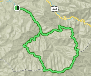 Elkmont to Mt Collins Loop: 21 Reviews, Map - Tennessee | AllTrails