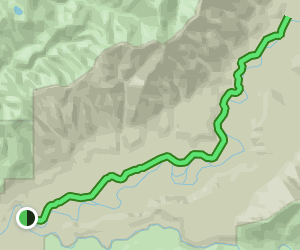 Queets River Trail: 19 Reviews, Map - Washington | AllTrails