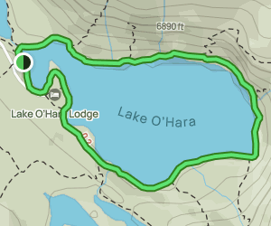 Lake O'Hara Shoreline Trail: 132 Reviews, Map - Alberta, Canada | AllTrails