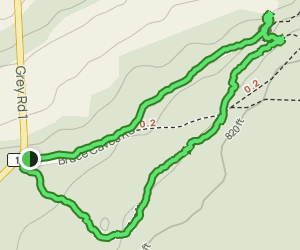 Bruce's Caves Conservation Area Trail: 395 Reviews, Map - Ontario ...