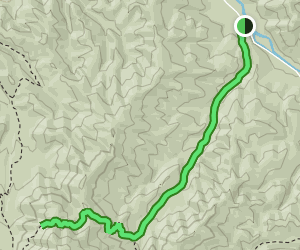 Injun Creek Trail: 293 Reviews, Map - Tennessee | AllTrails