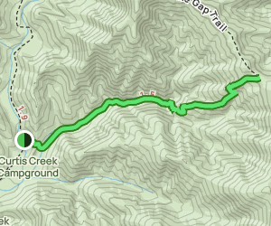 Hickory Branch Trail: 231 Reviews, Map - North Carolina | AllTrails