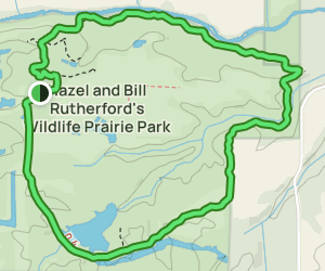 Floodplain Hiking Trail: 62 Reviews, Map - Illinois | AllTrails