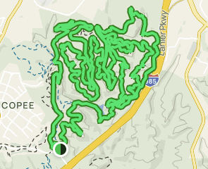 Tortoise, Copperhead Gap and White Tail Trail Loop, Georgia - 204 ...