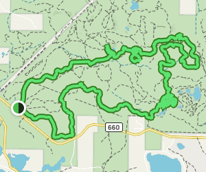VASA Single Track Loop: 286 Reviews, Map - Michigan | AllTrails