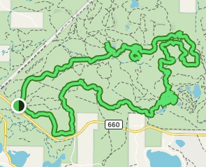 VASA Single Track Loop, Michigan - 320 Reviews, Map | AllTrails
