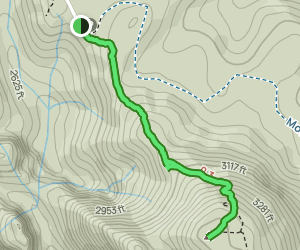Mount Banks Summit Walk: 64 Reviews, Map - New South Wales, Australia ...
