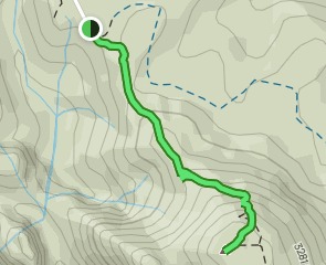 Mount Banks Summit Walk, New South Wales, Australia - 79 Reviews, Map ...