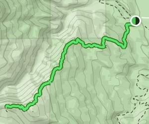 Maynard Mine Trail: 167 Reviews, Map - California | AllTrails
