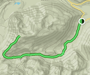 Goat Island Mountain: 4 Reviews, Map - Washington | AllTrails