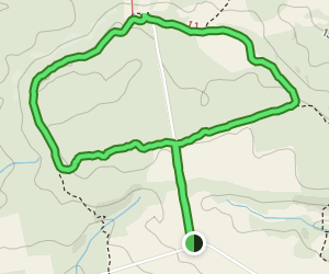 Loree Forest: 1024 Reviews, Map - Ontario, Canada | AllTrails