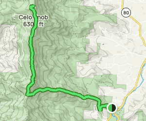 Celo Knob Via Black Mountain Crest and Colbert Ridge Trails: 49 Reviews ...
