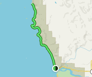 Rialto Beach Trail: 242 Reviews, Map - Washington | AllTrails