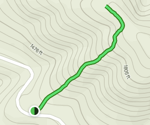 Arkansas Sphinx Trail: 122 Reviews, Map - Arkansas | AllTrails