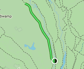 Batsto Fireline Road: Constable Bridge to Rockwood, New Jersey - 12 ...