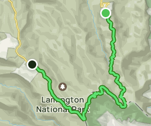 Binna Burra to O’Reillys via Coomera and Border Track: 38 Reviews, Map ...