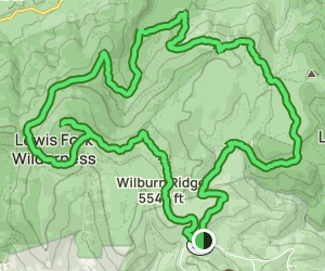Mount Rogers Loop Trail: 335 Reviews, Map - Virginia | AllTrails