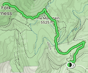AllTrails | Mount Rogers via Appalachian Trail: 671 Reviews, Map - Virginia