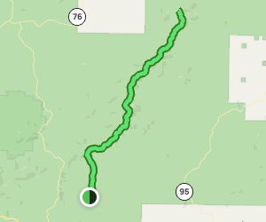 Gladetop Trails: 21 Reviews, Map - Missouri | AllTrails