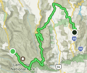Gold Coast Hinterland Great Walk: 49 Reviews, Map - Queensland ...