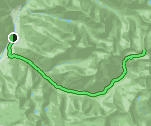 AllTrails | Sunlight Peak via Needle Creek Trail: 33 Reviews, Map ...