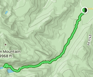 Coffin Lakes Trail: 94 Reviews, Map - Montana | AllTrails