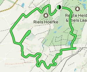 AllTrails | Riels Hoefke - De Hoevens - Ooievaarnest - Regte Heide: 16 ...