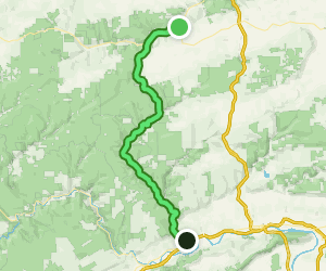 Pine Creek Trail: 303 Reviews, Map - Pennsylvania | AllTrails