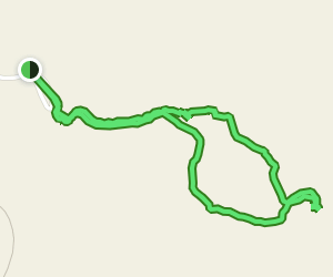 Francis Beidler Forest: 58 Reviews, Map - South Carolina | AllTrails